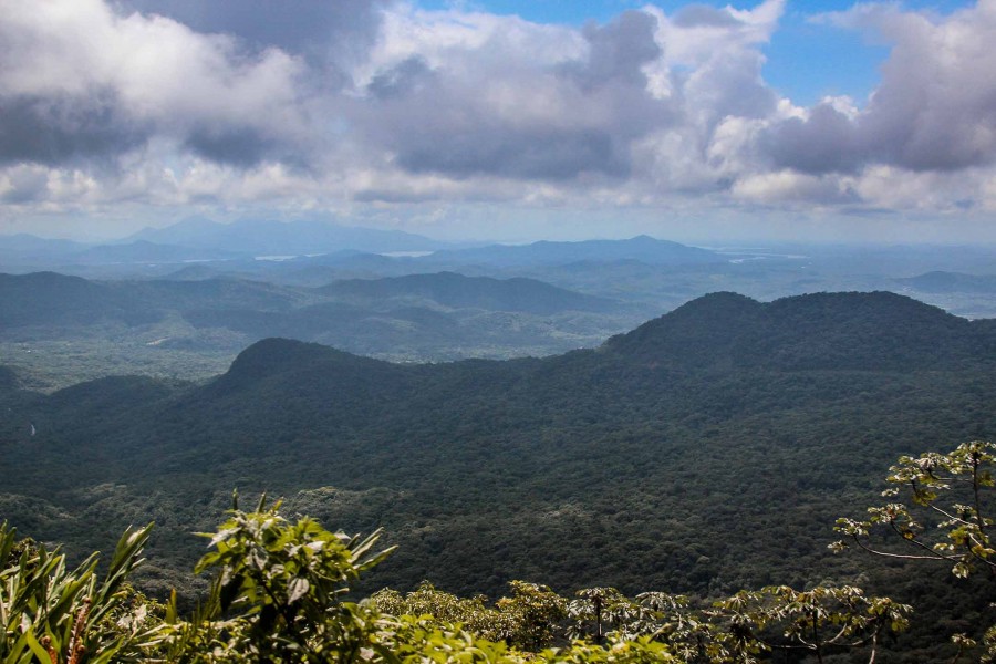Viajando na Litorina de Luxo! - Imagina na Viagem
