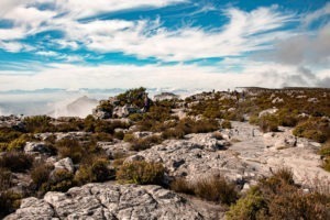 Table Mountain - dicas para conhecer a incrível Montanha da Mesa!